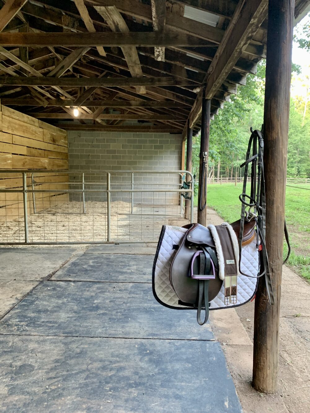 The Practical Horsewoman - Tips, hacks, and DIY for the budget ...